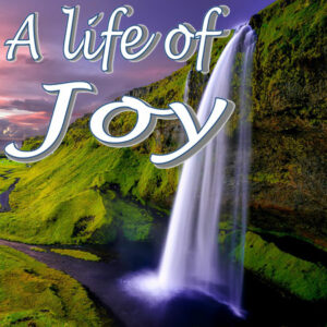 A Life of Joy Archives - Elmdon Church, Solihull
